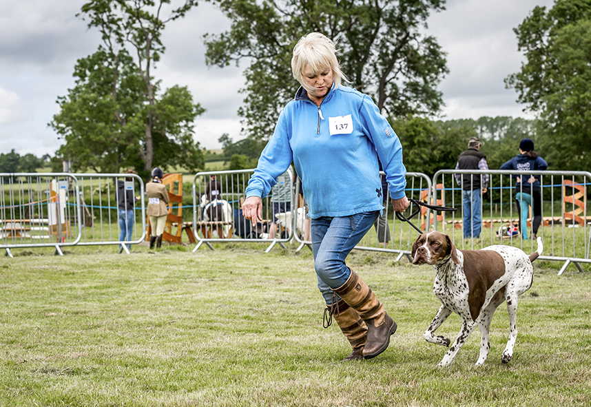 Dog Show Events Blaston Show dog-show-events-blaston-show